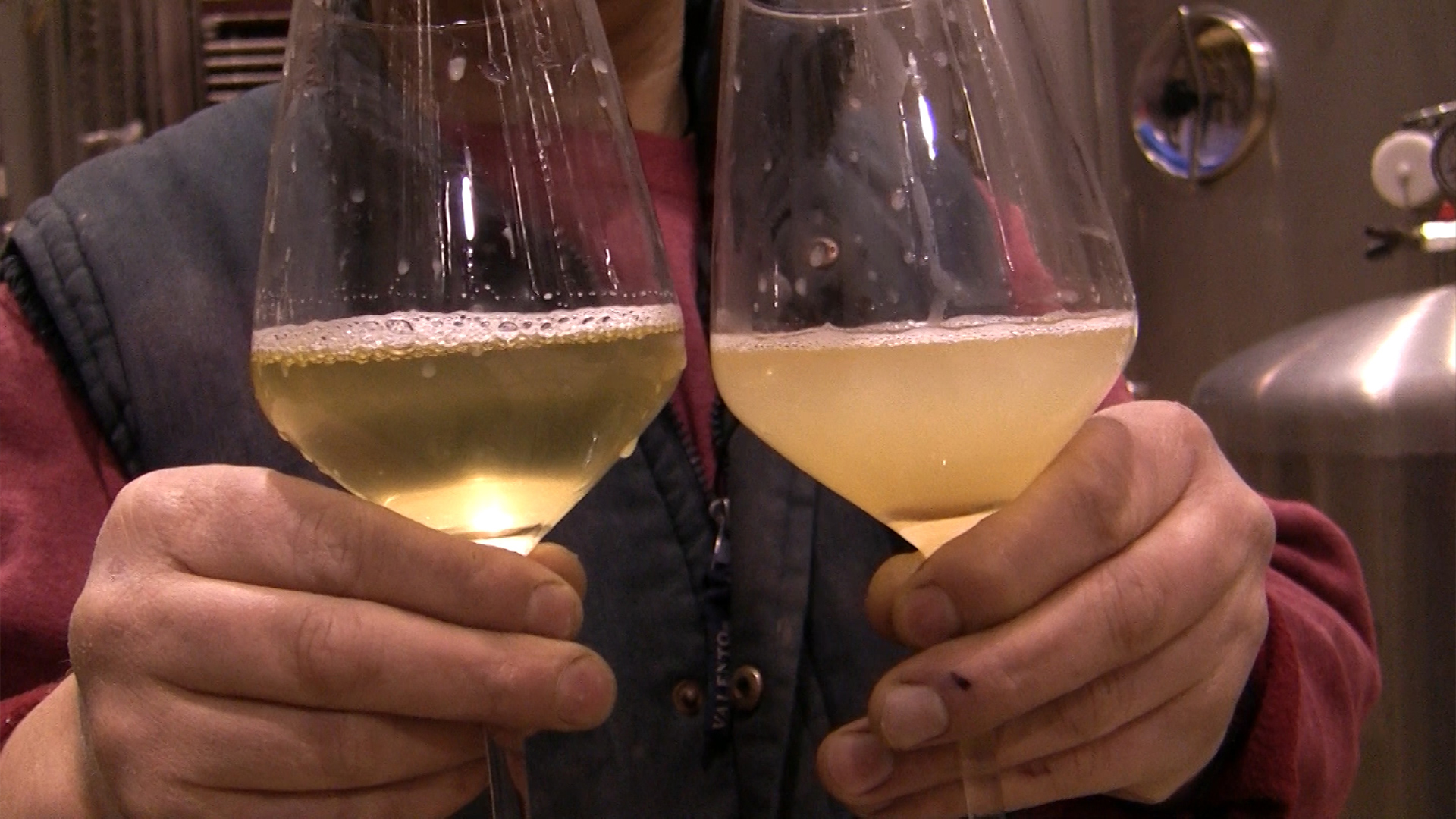 Chapter 13. Clearing of white wines - Vinopedia.tv